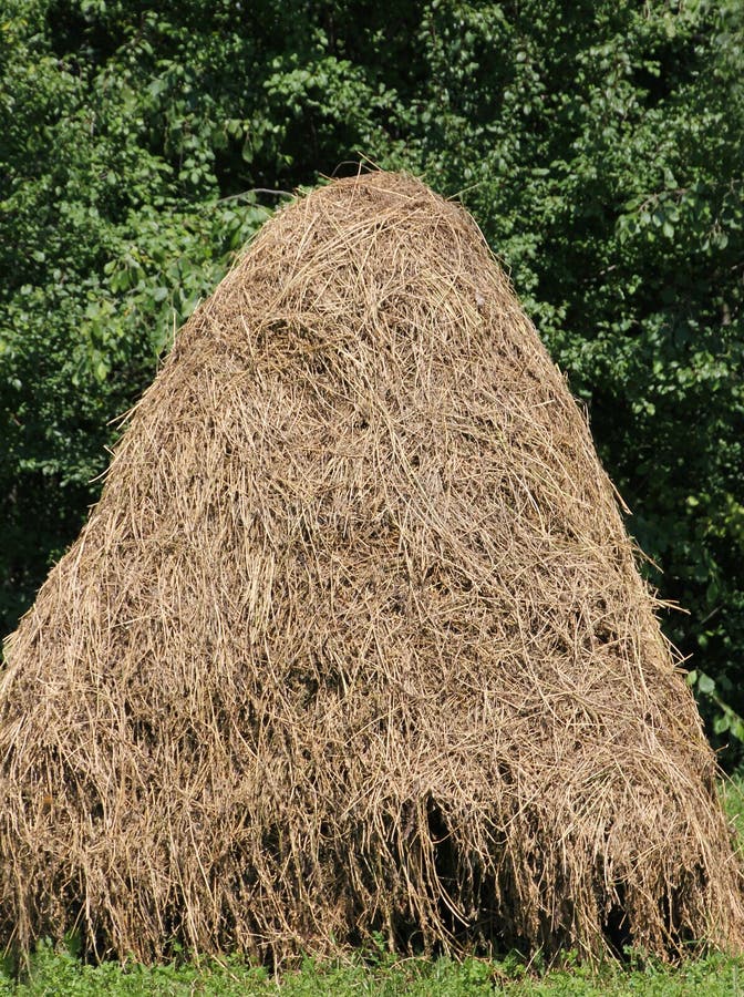 Hay heap stock photo. Image of farmland, hayheap, bales - 40128502