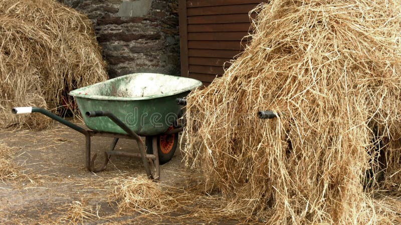 Hay in the horse stable stock footage. Video of high - 62186512