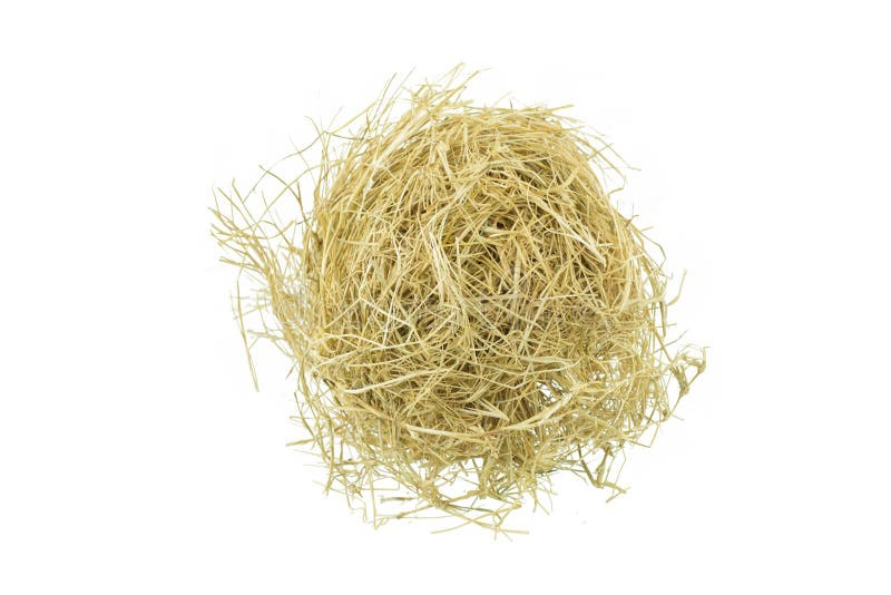 Hay Isolated on a White Background Stock Photo - Image of crop, nature ...
