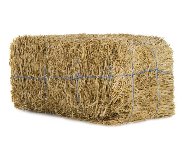 Hay isolated on a white stock image. Image of yellow - 104601929