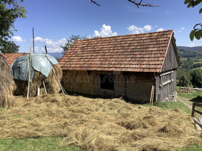Hay laid out to dry stock image. Image of home, agriculture - 271284845