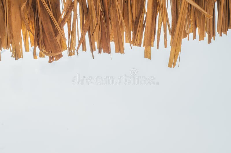 Hay Leaves with Sky Broom, Closeup, Coast, Dried Stock Photo - Image of ...