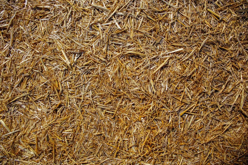 258 Hay Seamless Texture Stock Photos - Free & Royalty-Free Stock ...