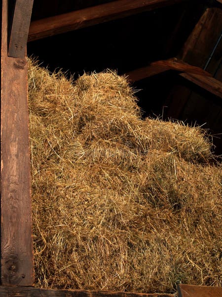 Hay in the loft stock image. Image of pile, stack, reserve - 936407