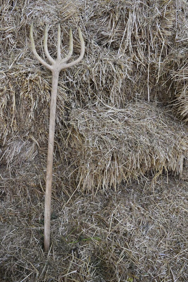 Wooden Pitchfork and Shovel Stock Photo - Image of retro, pitchfork ...