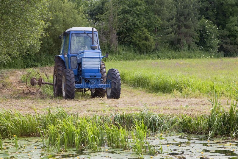 Hay making time stock photo. Image of equipment, wildflowers - 19942772