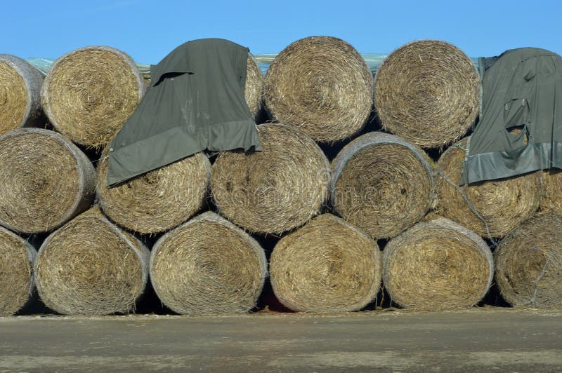 Hay Packed in a Circle and Stacked Stock Image - Image of packed ...