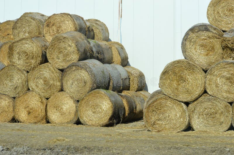 Hay Packed in a Circle and Stacked Stock Image - Image of packed ...