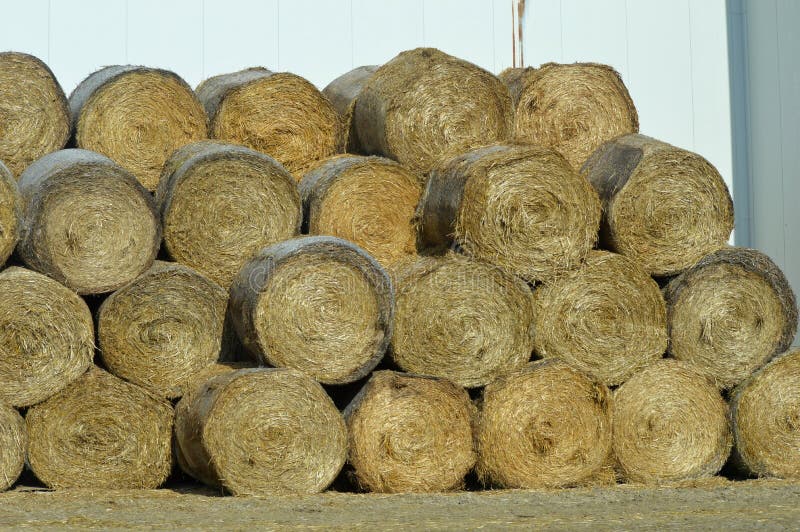 Hay Packed in a Circle and Stacked Stock Photo - Image of circle ...