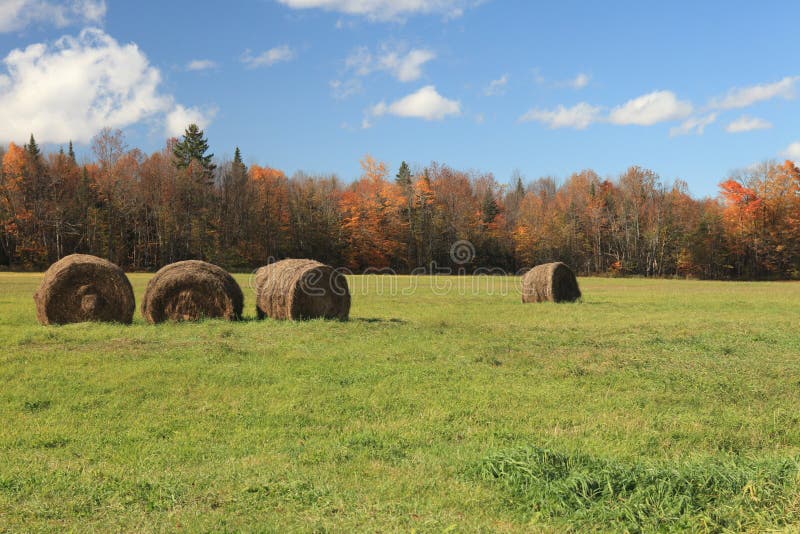 Hay in Pasture stock photo. Image of lush, hampshire - 11534198