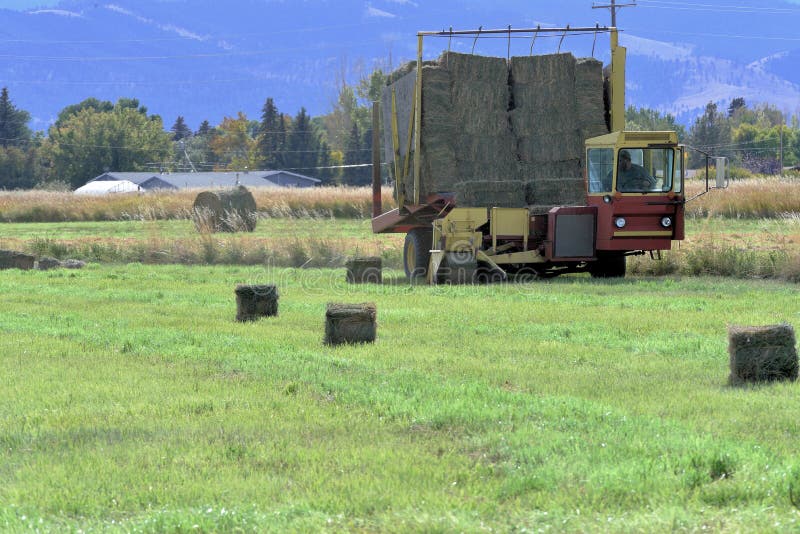 Hay Picker at Work in a Summer Hay Field. Stock Image - Image of ...