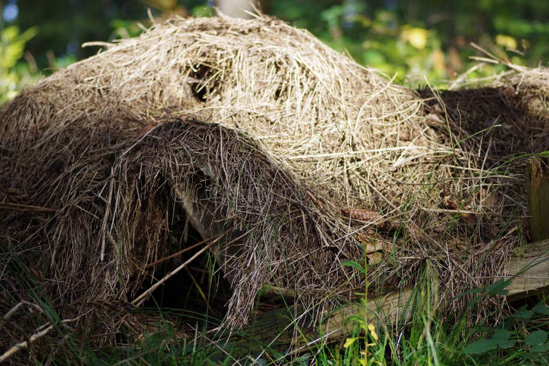 Hay Pile with Sun Rays Falling on it Stock Photo - Image of stack ...