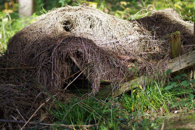 Hay Pile with Sun Rays Falling on it Stock Photo - Image of farm, stack ...
