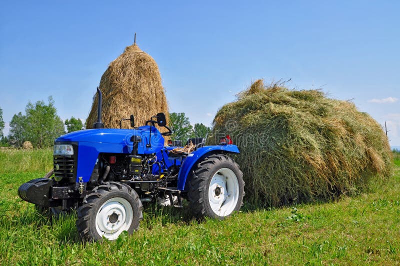Hay preparation stock photo. Image of fodder, field, stack - 22195538