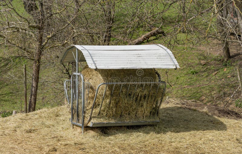 Hay rack stock photo. Image of tree, agriculture, sunny - 277419662
