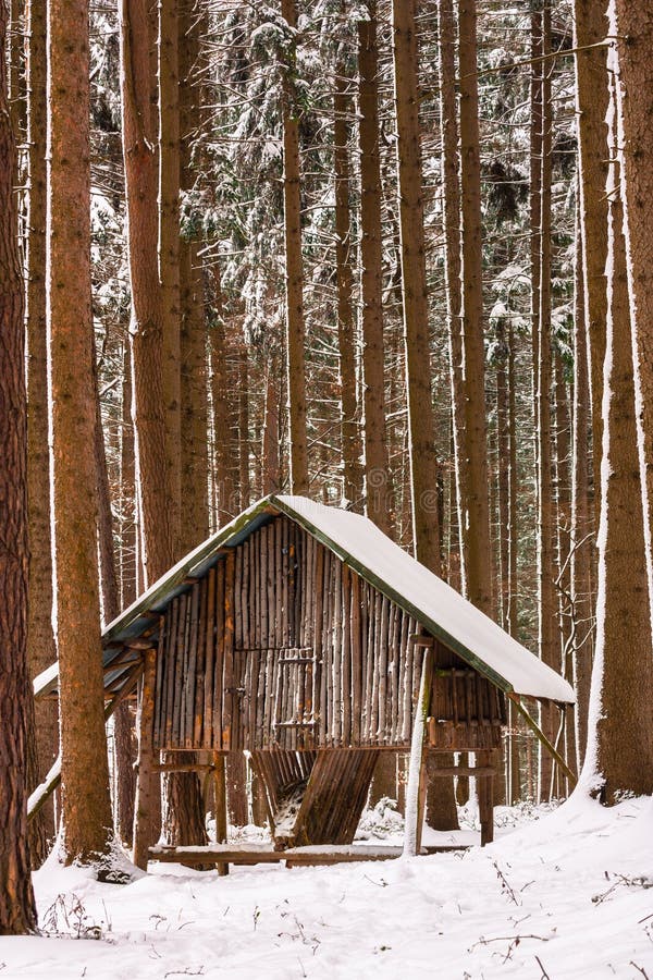 Hay rack stock image. Image of barn, pasturage, food - 57987523
