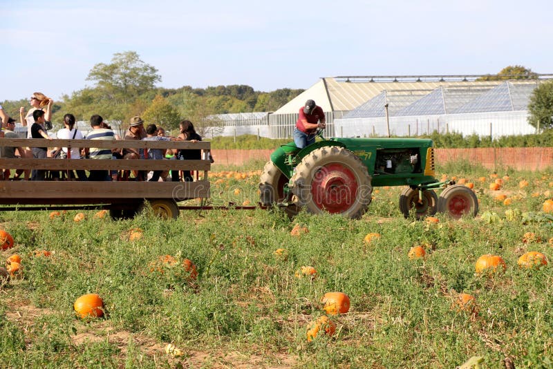 Hay Ride in Long Island, NY Editorial Image - Image of rural, family ...