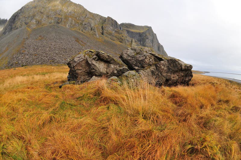 Hay on Rock stock photo. Image of natural, nature, board - 45688350