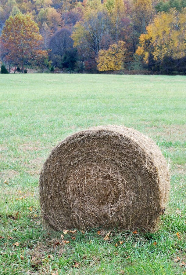 Hay roll stock photo. Image of autumn, business, fall - 6953458