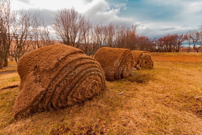 Round Rolls Castle Stock Photos - Free & Royalty-Free Stock Photos from ...