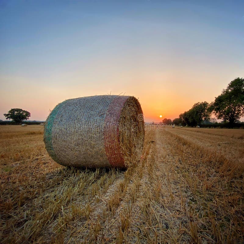Hay Roll on a Harvested Field Stock Photo - Image of gold, countryside ...