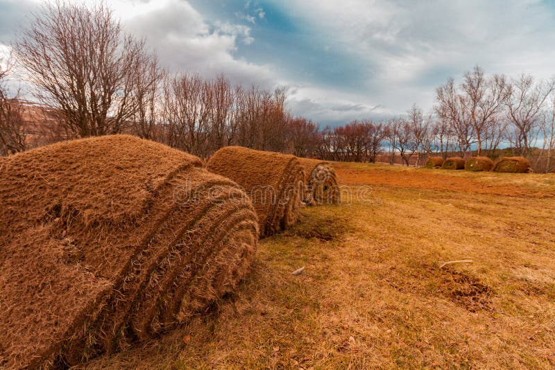 Round Rolls Castle Stock Photos - Free & Royalty-Free Stock Photos from ...