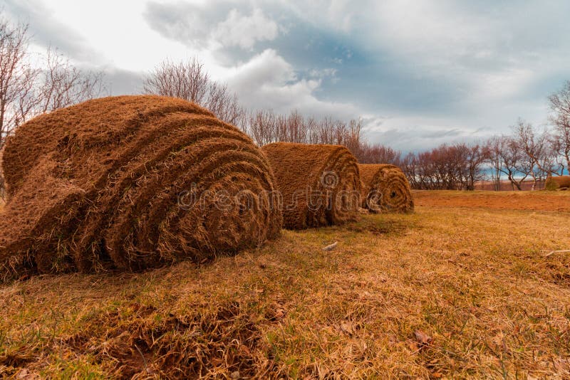 Round Rolls Castle Stock Photos - Free & Royalty-Free Stock Photos from ...