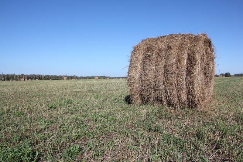 Hay Roll Lying on a Sloping Fieldin the Fall Stock Photo - Image of ...