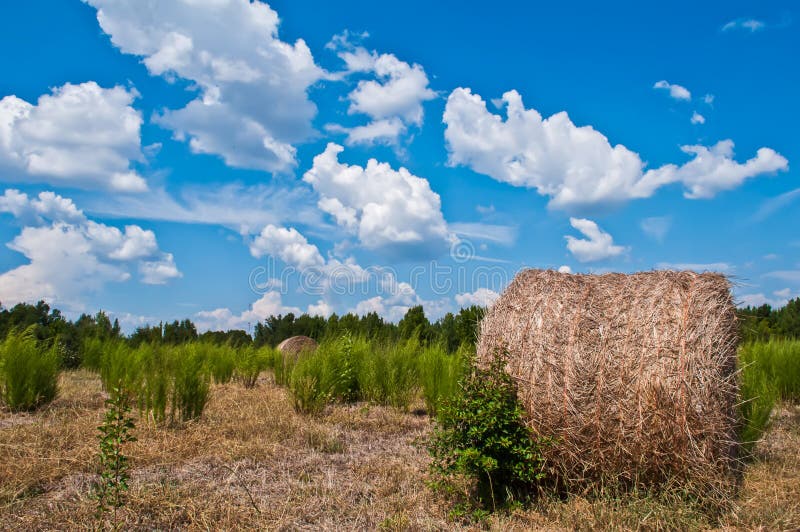 Hay-roll on meadow stock image. Image of harvesting, prairie - 44353109