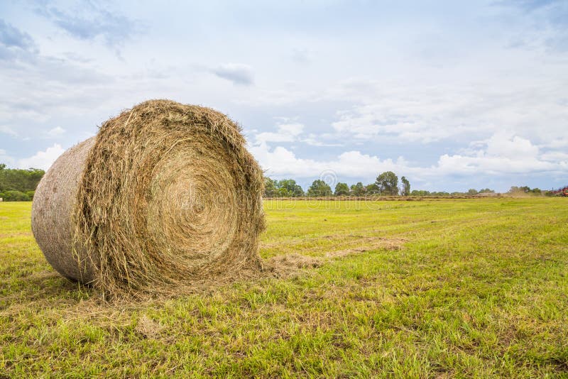 Hay Roll in an Open Field stock image. Image of farming - 94205173