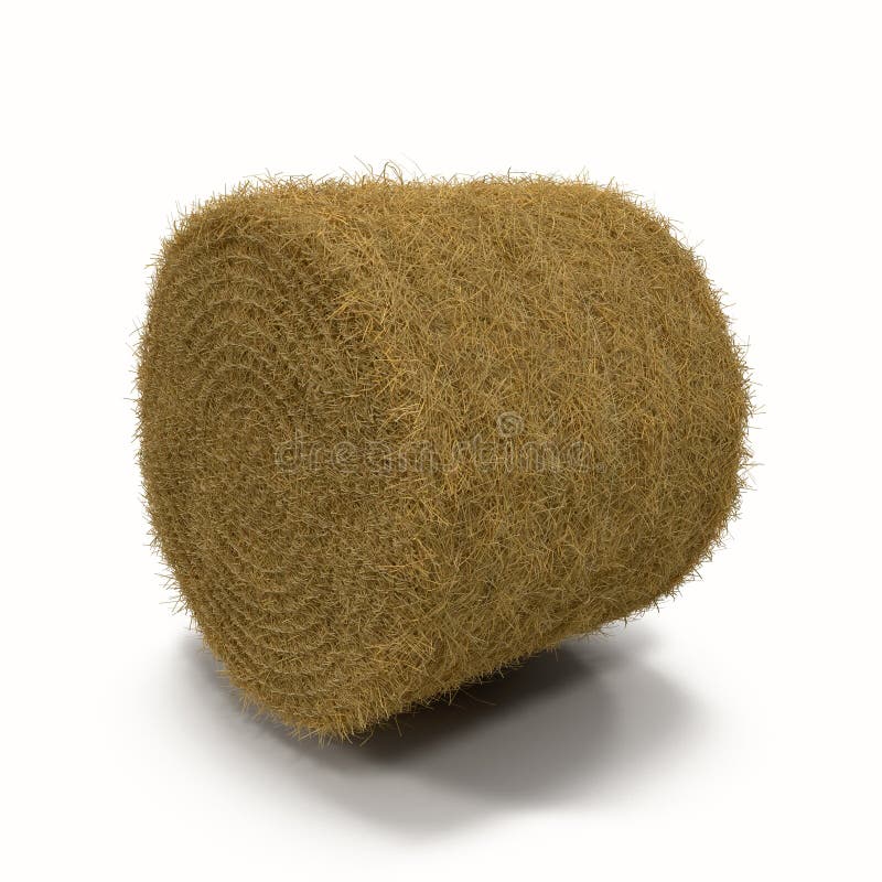 Hay Roll on White Background Stock Image - Image of haystack, food ...