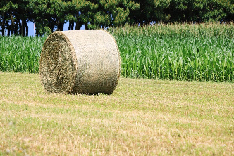 Hay roller stock image. Image of natural, agriculture - 43477577