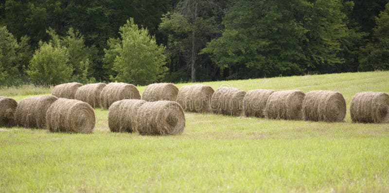 Hay Rolls in a Farmers Pasture Stock Image - Image of meadow, fall ...