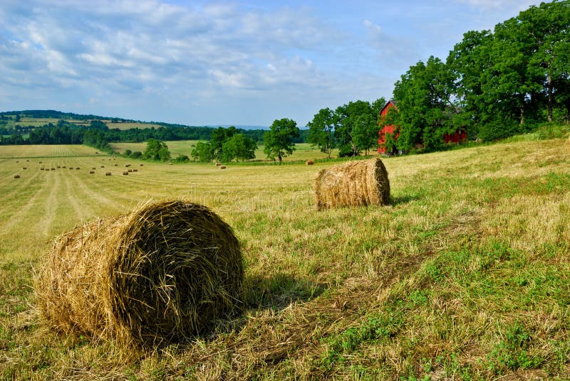 Hay field stock photo. Image of bales, hills, farm, virginia - 21280