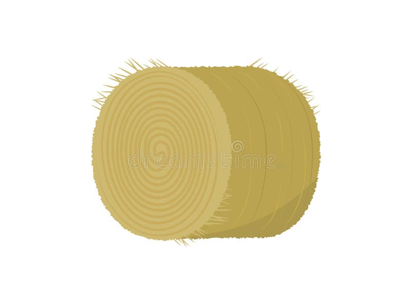 Hay rolls illustration stock vector. Illustration of rolls - 194829350