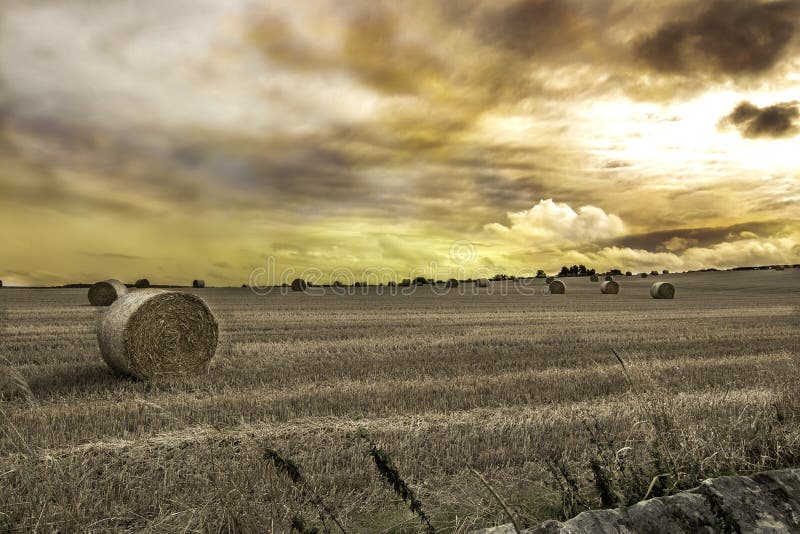 Hay Rolls in an Open Field with Dramatic Sky. Stock Photo - Image of ...
