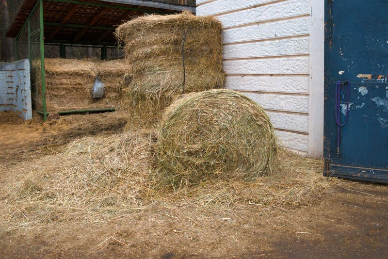 Hay Rolls Stacked on the Farm Stock Photo - Image of farming, farmland ...