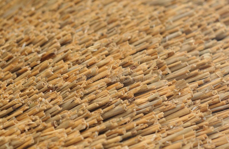 Hay roof in summer stock photo. Image of rows, protection - 30225792