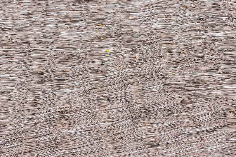 Hay roof texture stock photo. Image of tropical, roof - 180960444