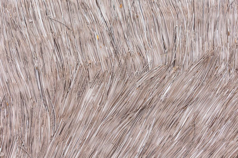 Hay roof texture stock image. Image of grass, rural - 180960269