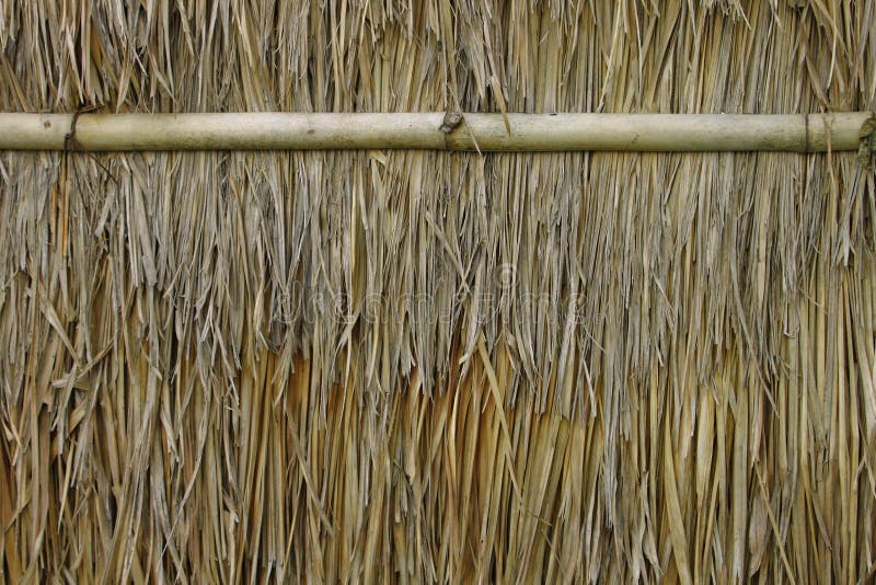 Hay Roof Wall Hut Coverage Texture Natural Material Background Stock ...