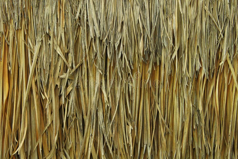 Hay Roof Wall Hut Coverage Texture Natural Material Background Stock ...