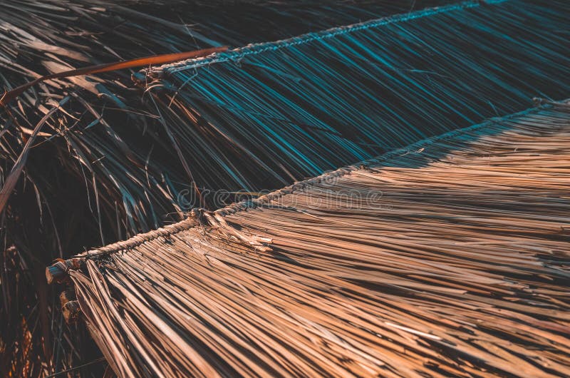 Hay for Roofing House Building Stock Image - Image of backdrop, drop ...