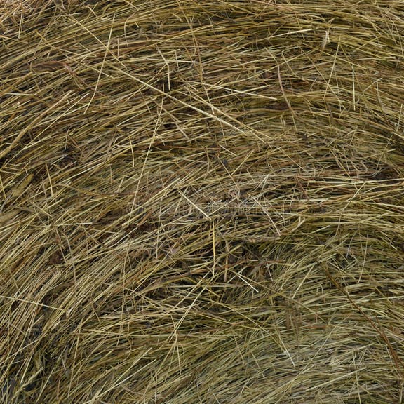 Hay Roundbale Texture stock image. Image of rural, pattern - 57848159