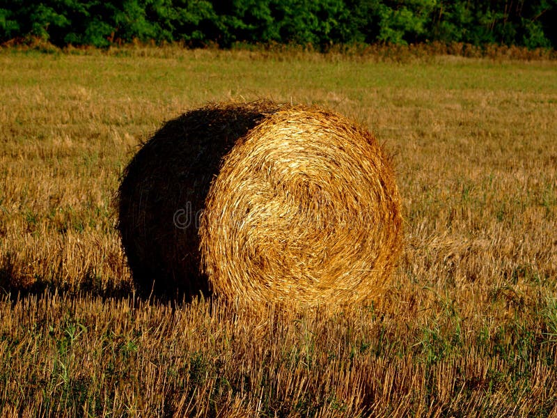 Hay's Roll Picture. Image: 6560598