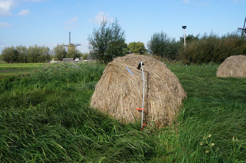 A hay and scythe stock image. Image of nature, haymaking - 135853431