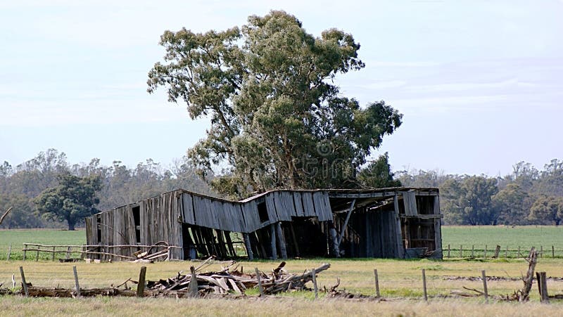 Hay Shed Falling Down after Hurricane Stock Photo - Image of sheds ...