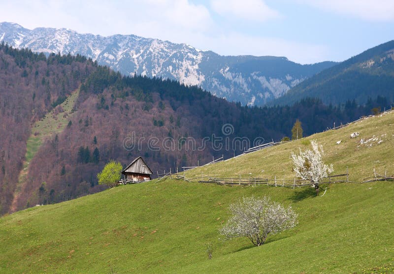 Hay shed in spring stock photo. Image of snow, mountain - 12410834
