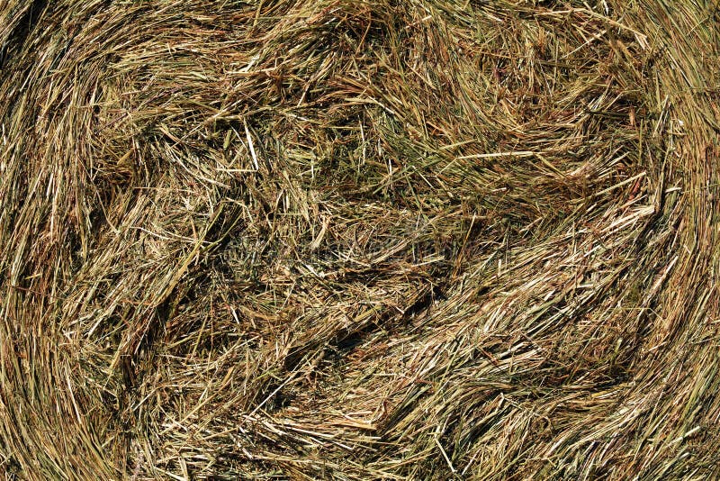 Hay side view stock photo. Image of grass, horizontal - 48249452