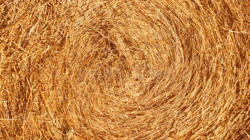 Hay spiral pattern stock photo. Image of country, farming - 187429462